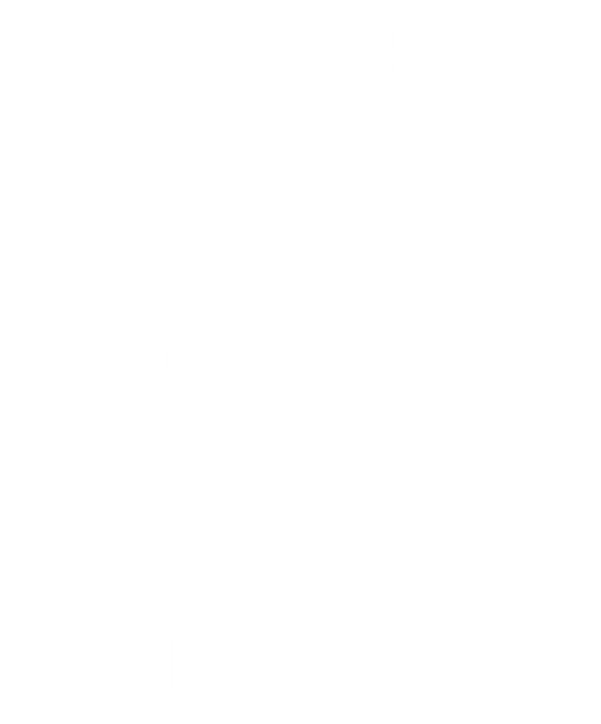 Jual Andong Strength Soju Mixed Berries 700ml, Harga Terbaik